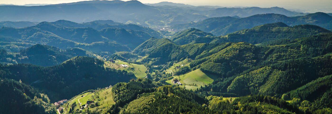 Visiting the Black Forest by train