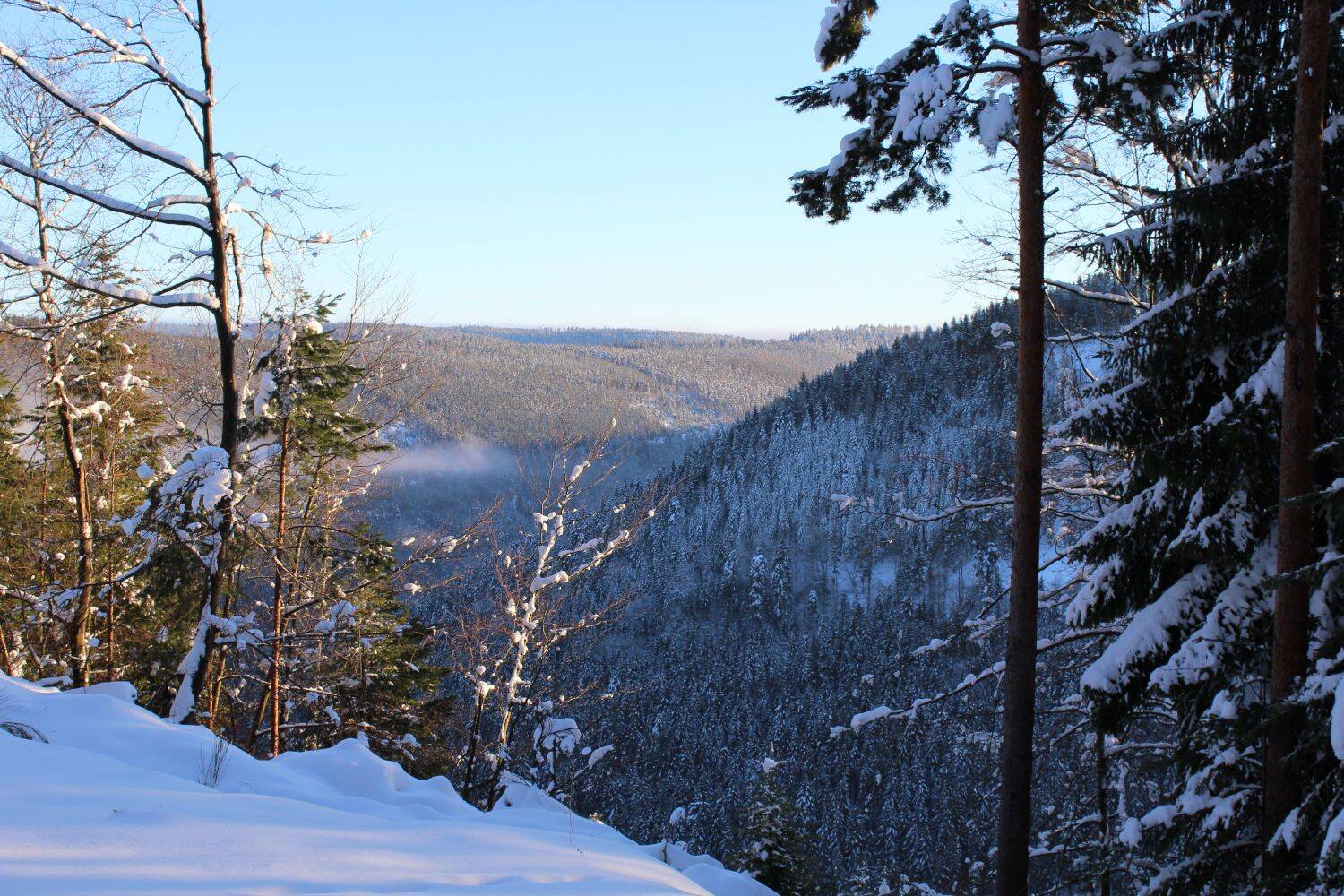 Visiting the Black Forest by train